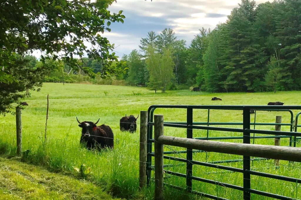 Home - Brandon Chamber