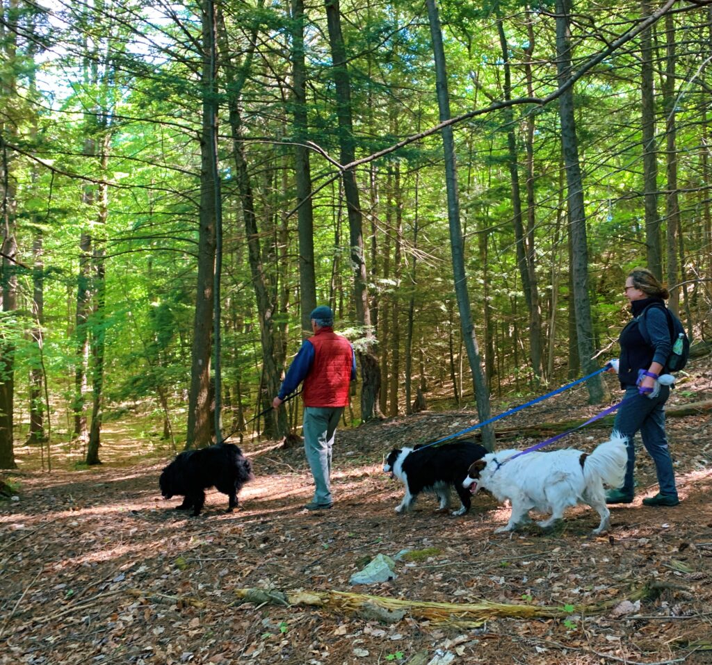 Recreation, Fitness & Tours (Things To Do) - Brandon Chamber